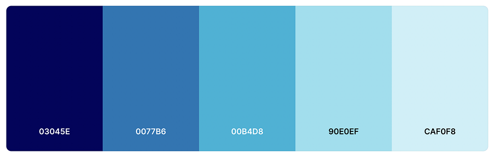 Website Color Palettes - web developer