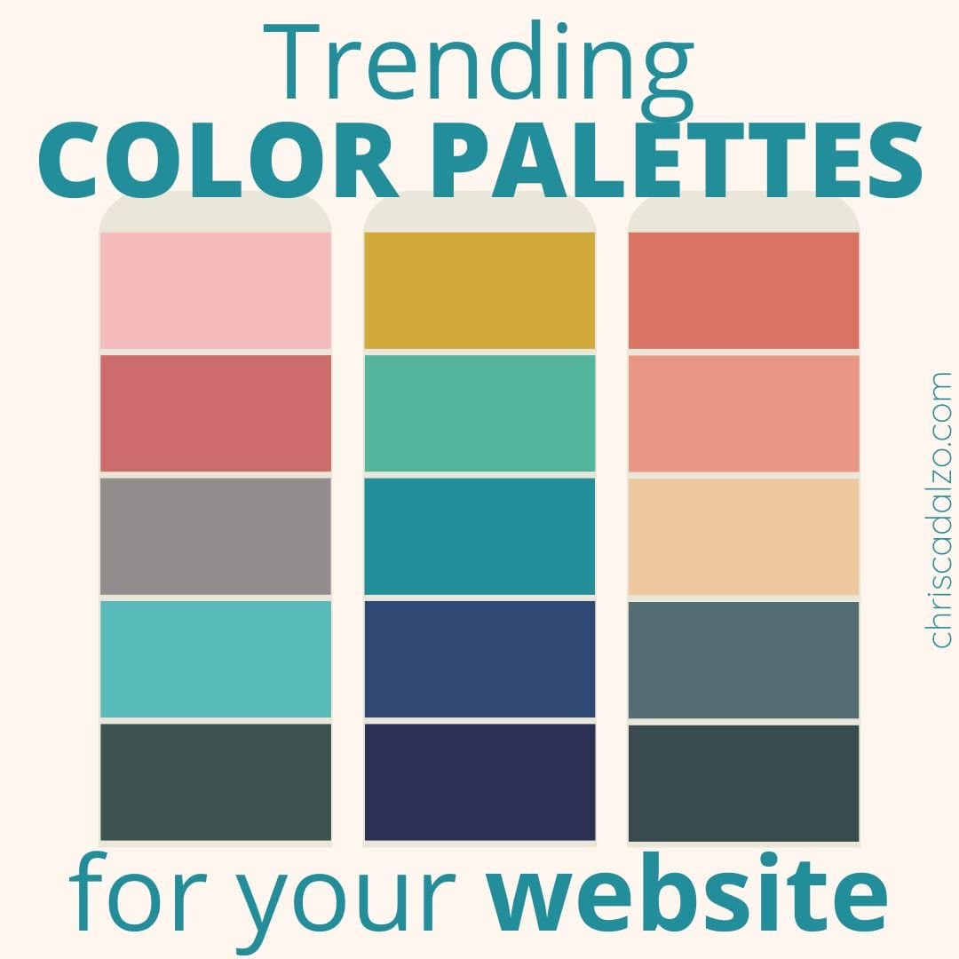 Website Color Palettes - web developer
